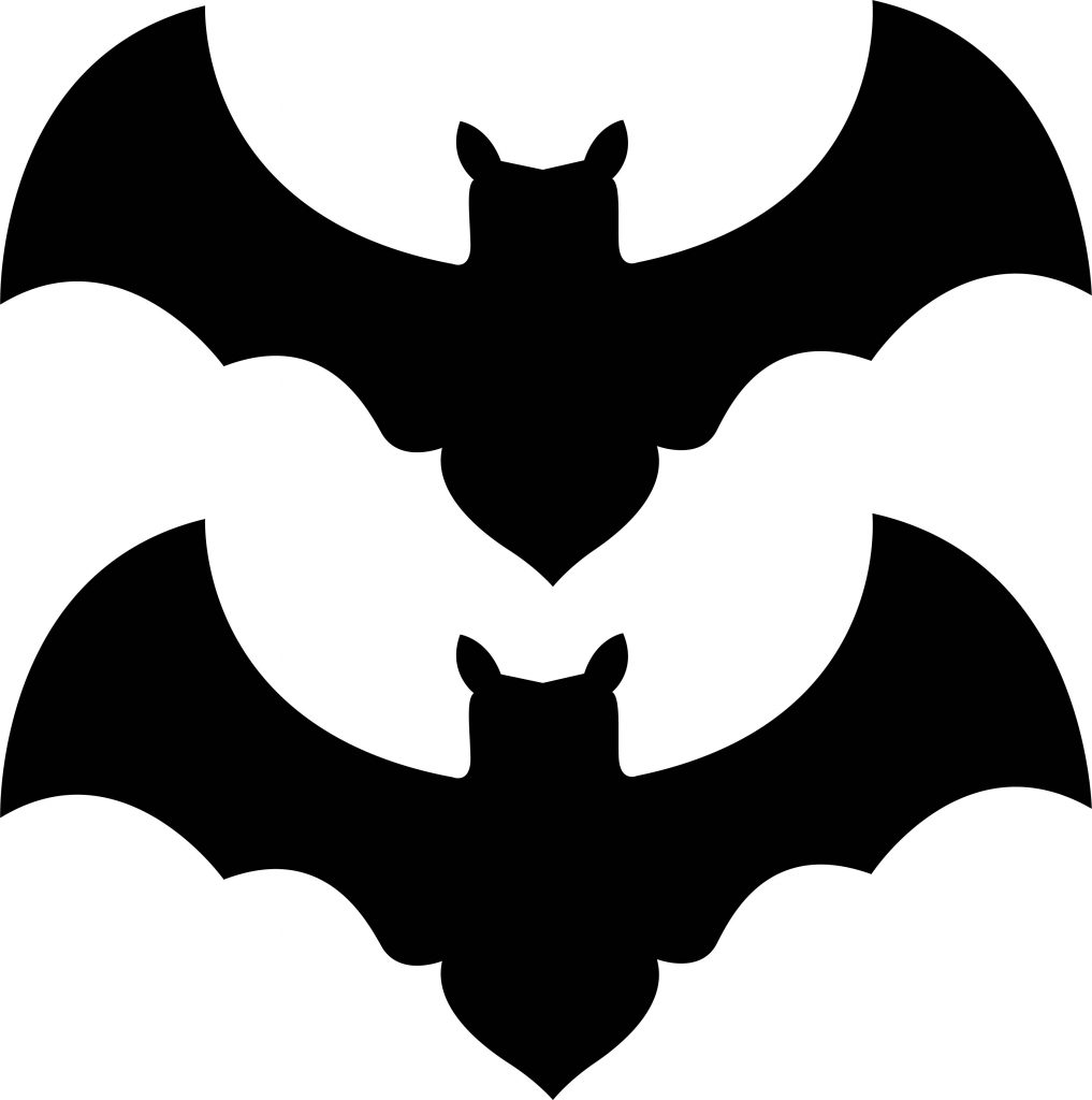 Halloween | Happy Halloween met Vleermuizen